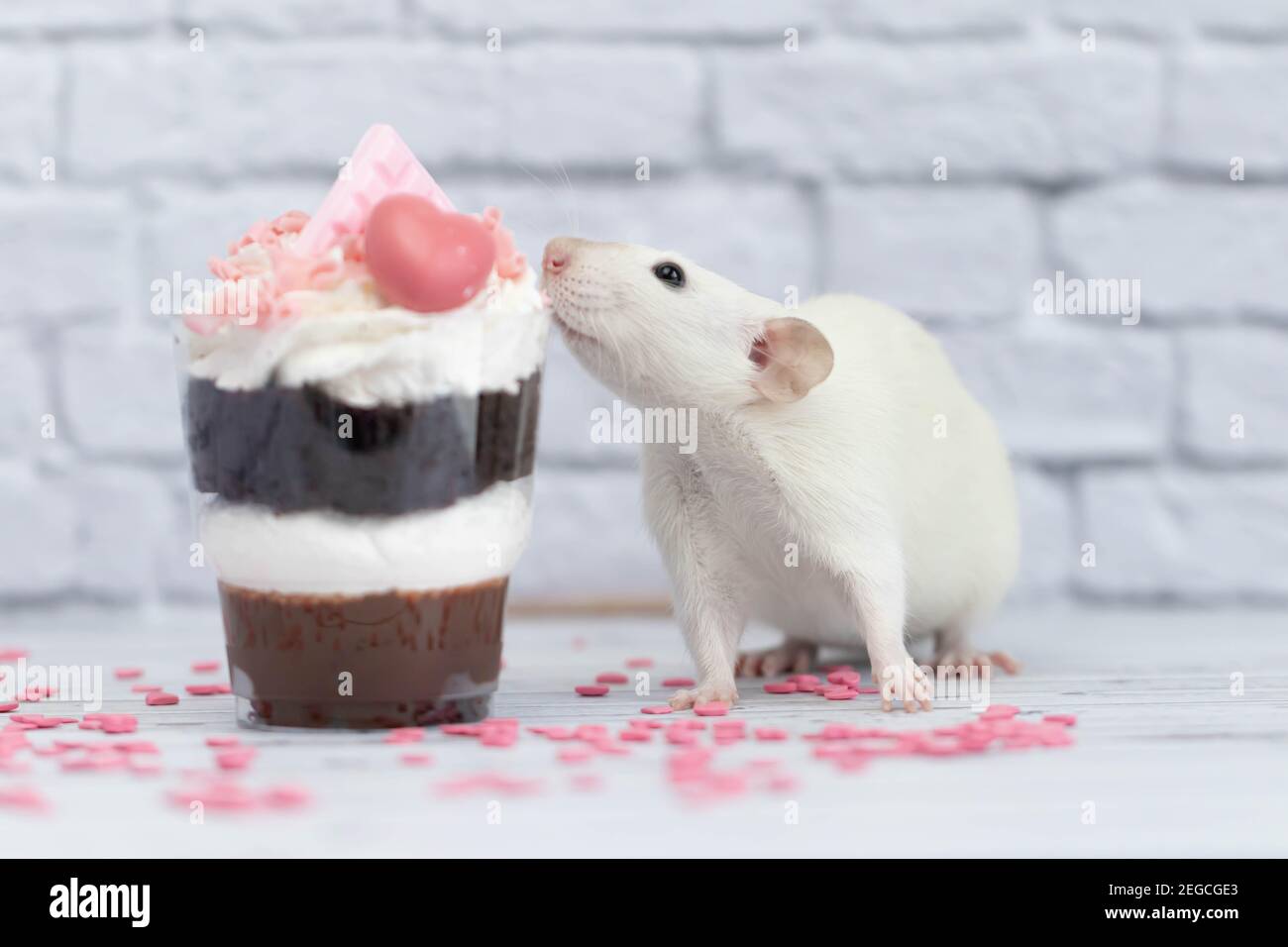 A decorated white chocolate piece hi-res stock photography and images ...