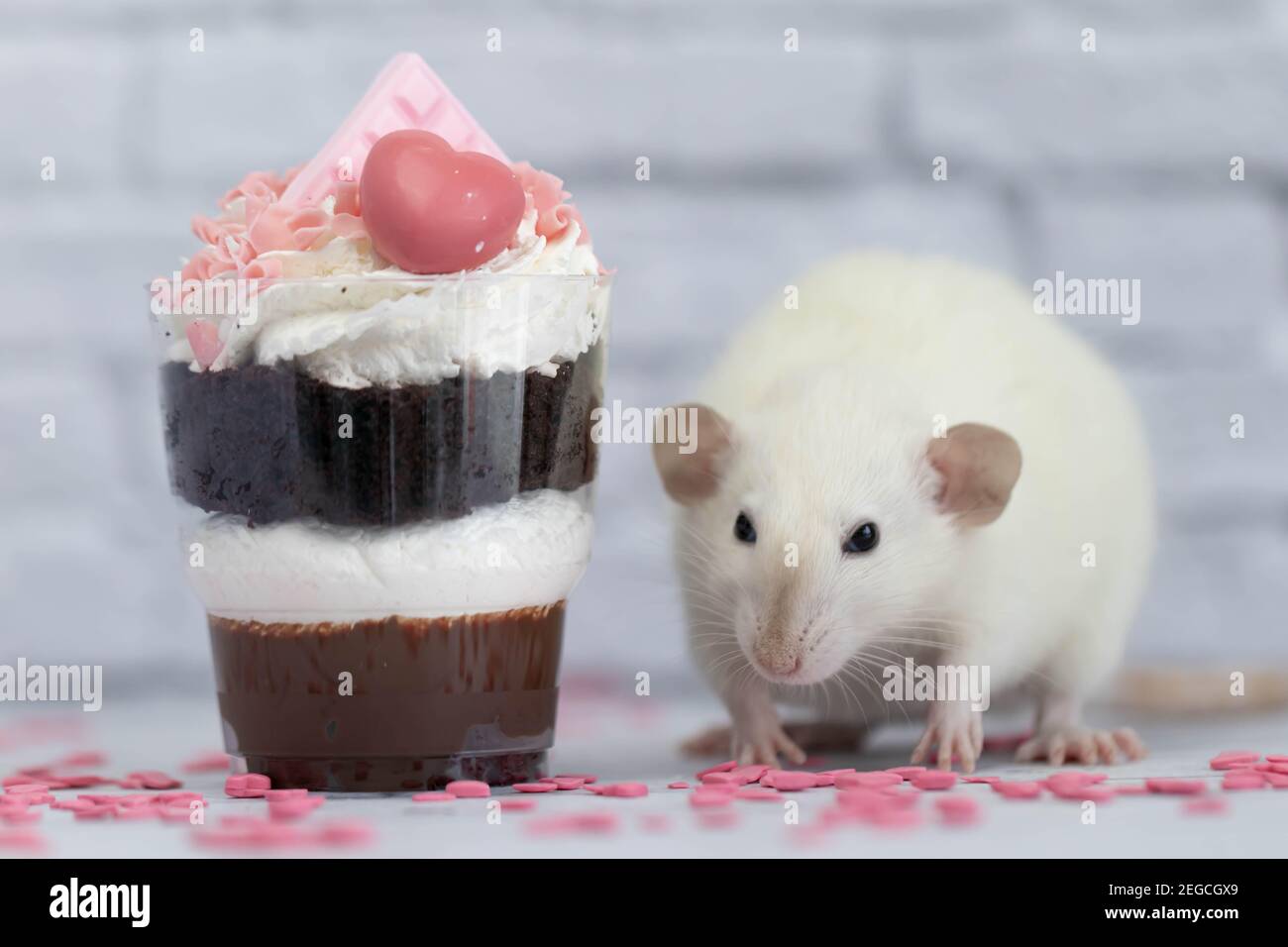 Happy birthday white chocolate bar hi-res stock photography and images ...