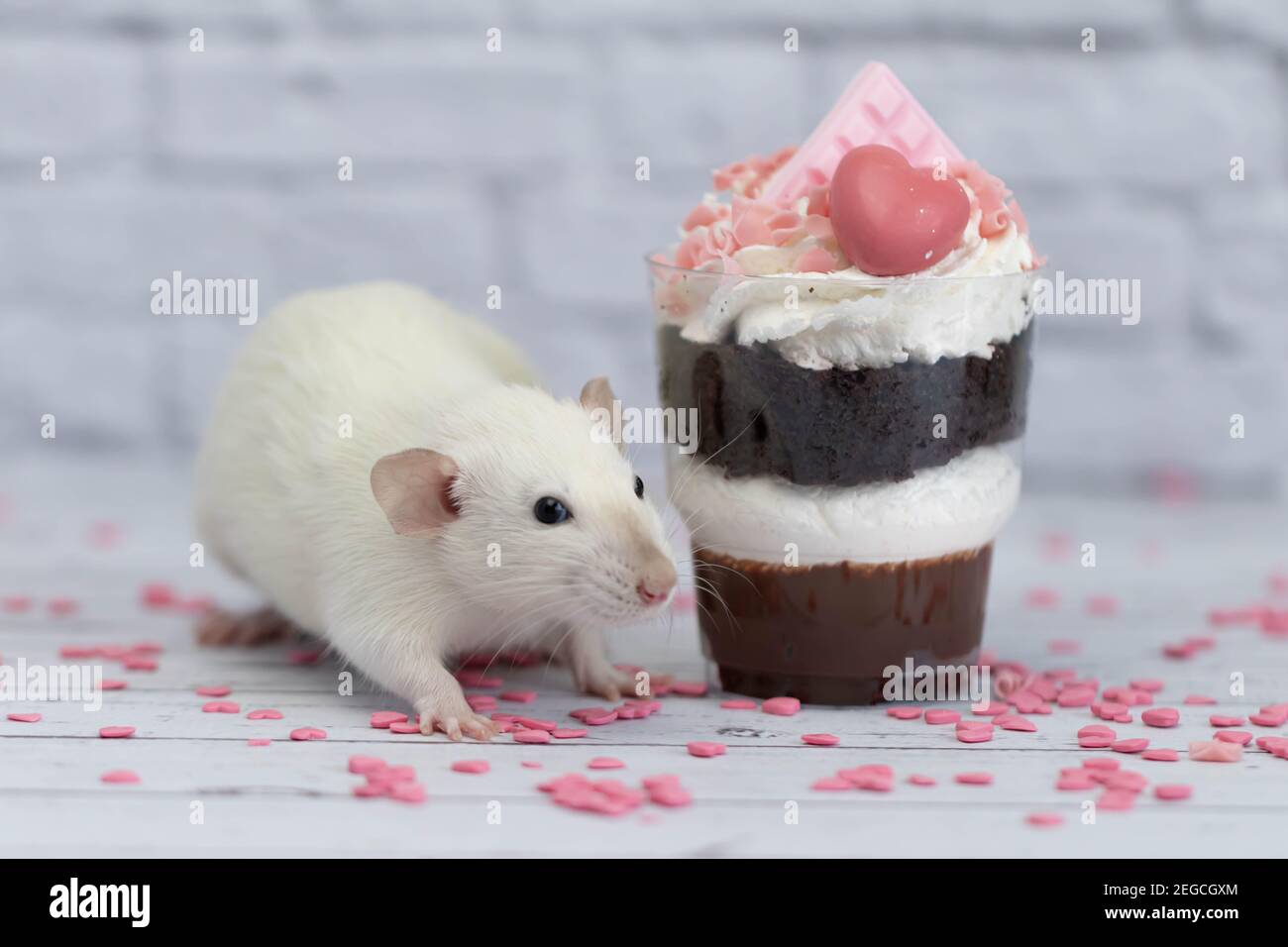 Rat heart hi-res stock photography and images - Alamy
