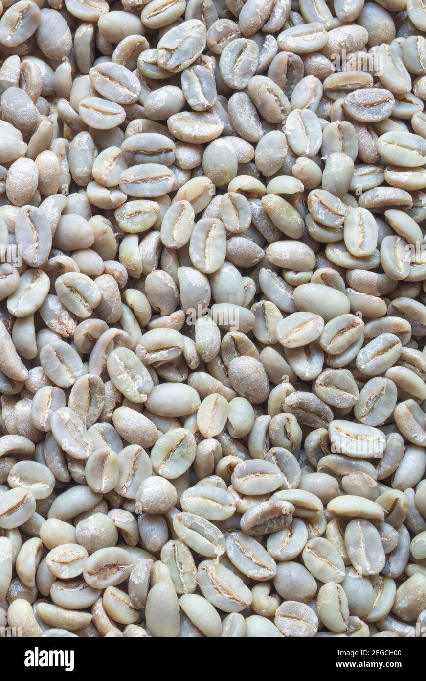 Unroasted beans hi-res stock photography and images - Alamy