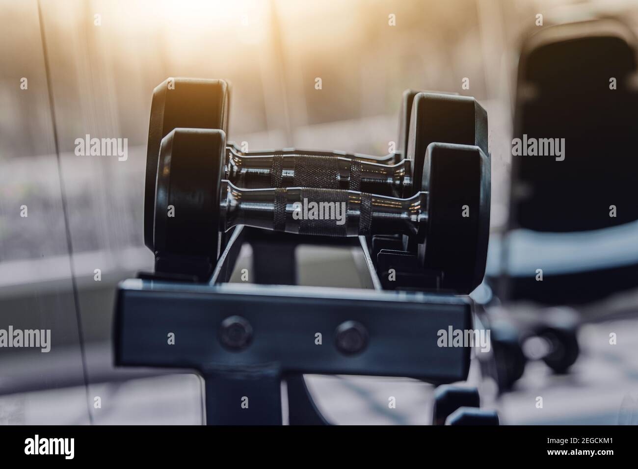 Body of the axis hi-res stock photography and images - Alamy