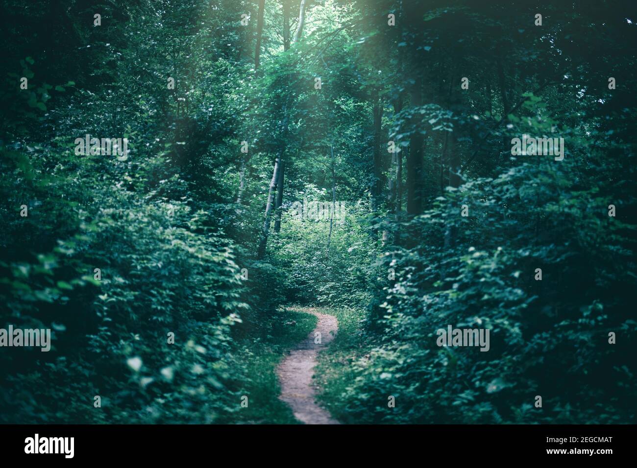 Gloomy atmosphere hi-res stock photography and images - Alamy