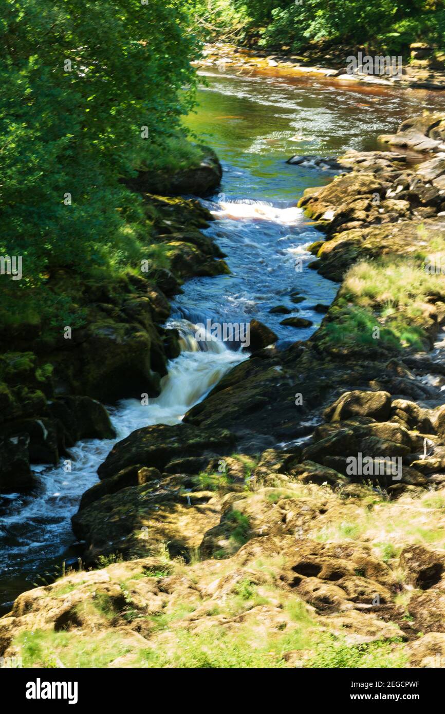 Near Bolton Abbey and Skipton, the dangerous rapids on the River Wharfe ...
