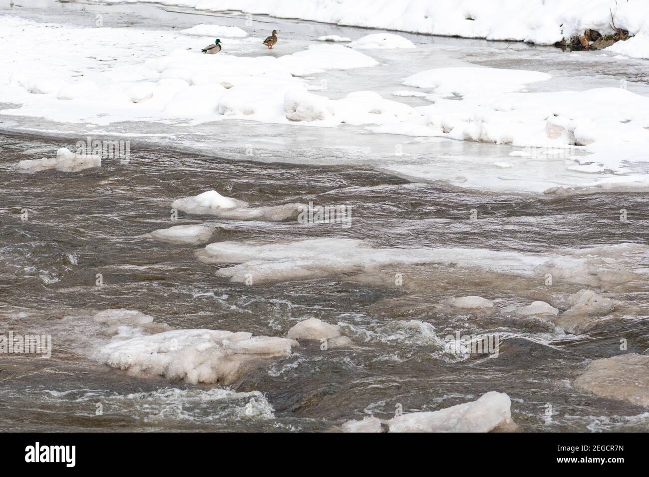Frozen river in winter, snow and ice melting, flowing stream, nature ...