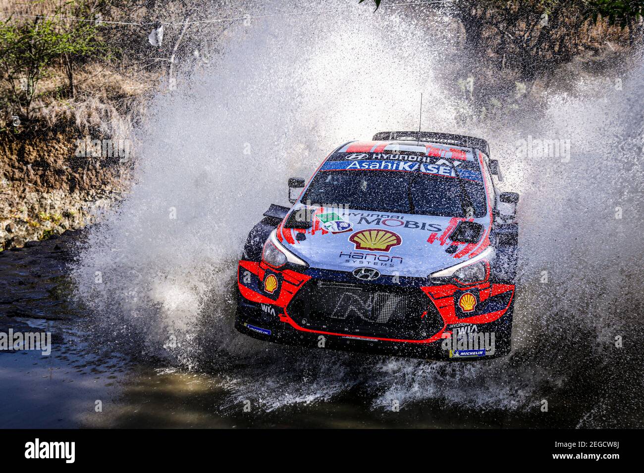 08 TANAK Ott (EST), JARVEOJA Martin (EST), Hyundai i20 Coupe WRC ...