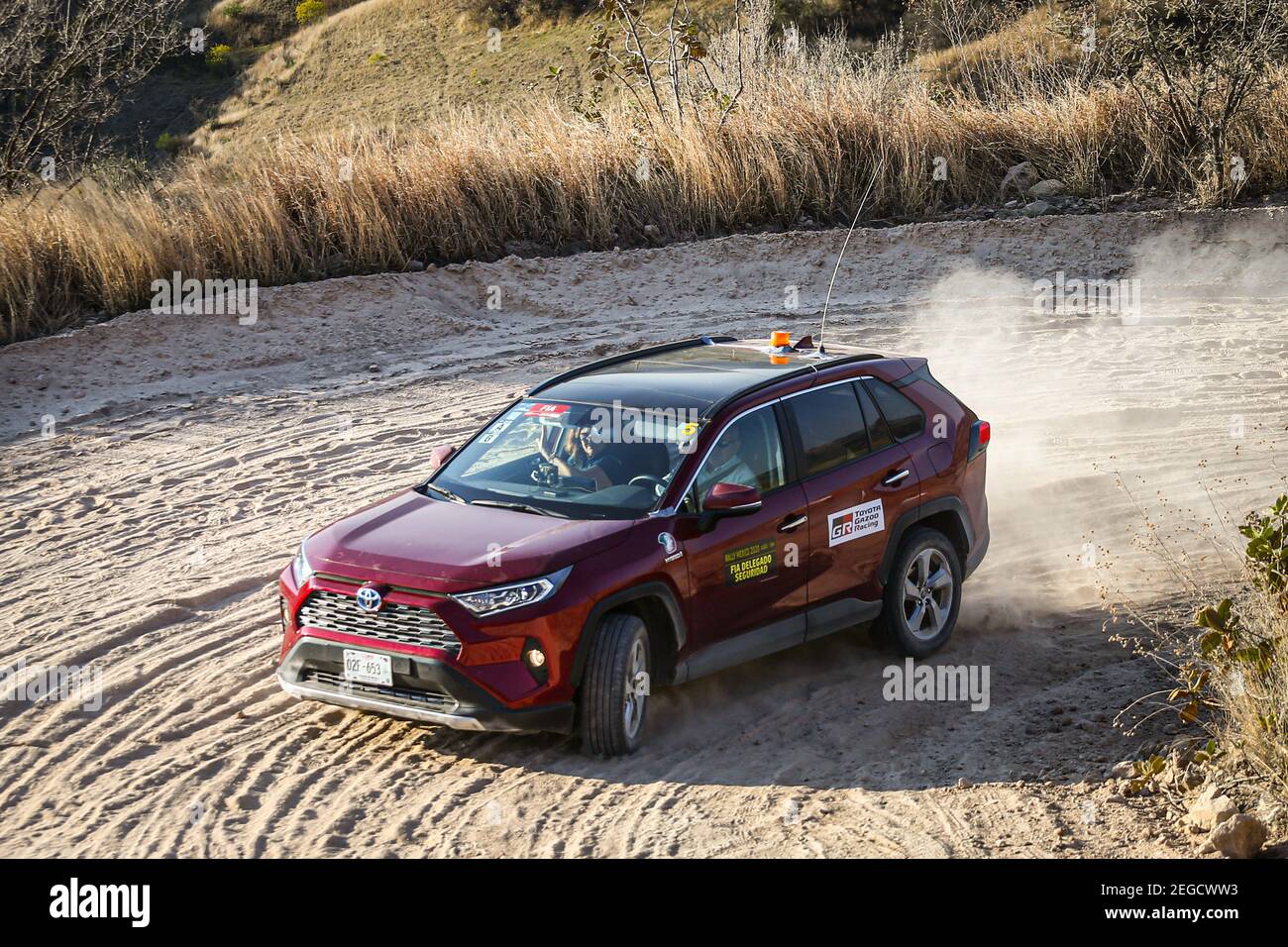 MOUTON Michele, FIA security delegate, portrait during the 2020 ...