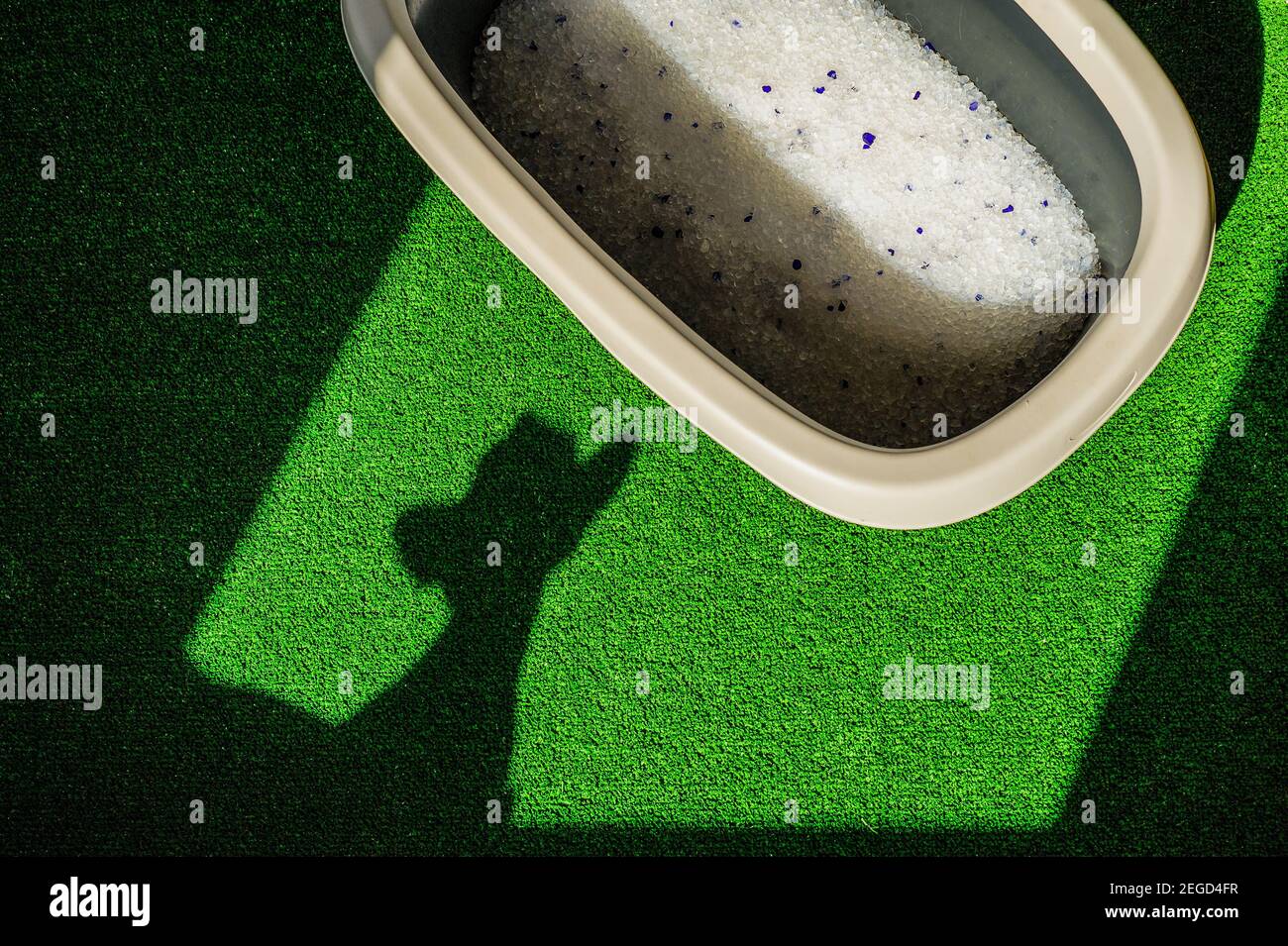 Grey litter box with sand on bathroom floor Stock Photo - Alamy