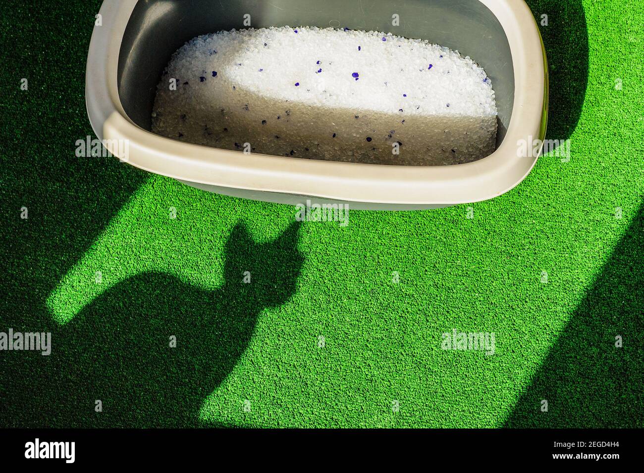 Grey litter box with sand on bathroom floor Stock Photo - Alamy