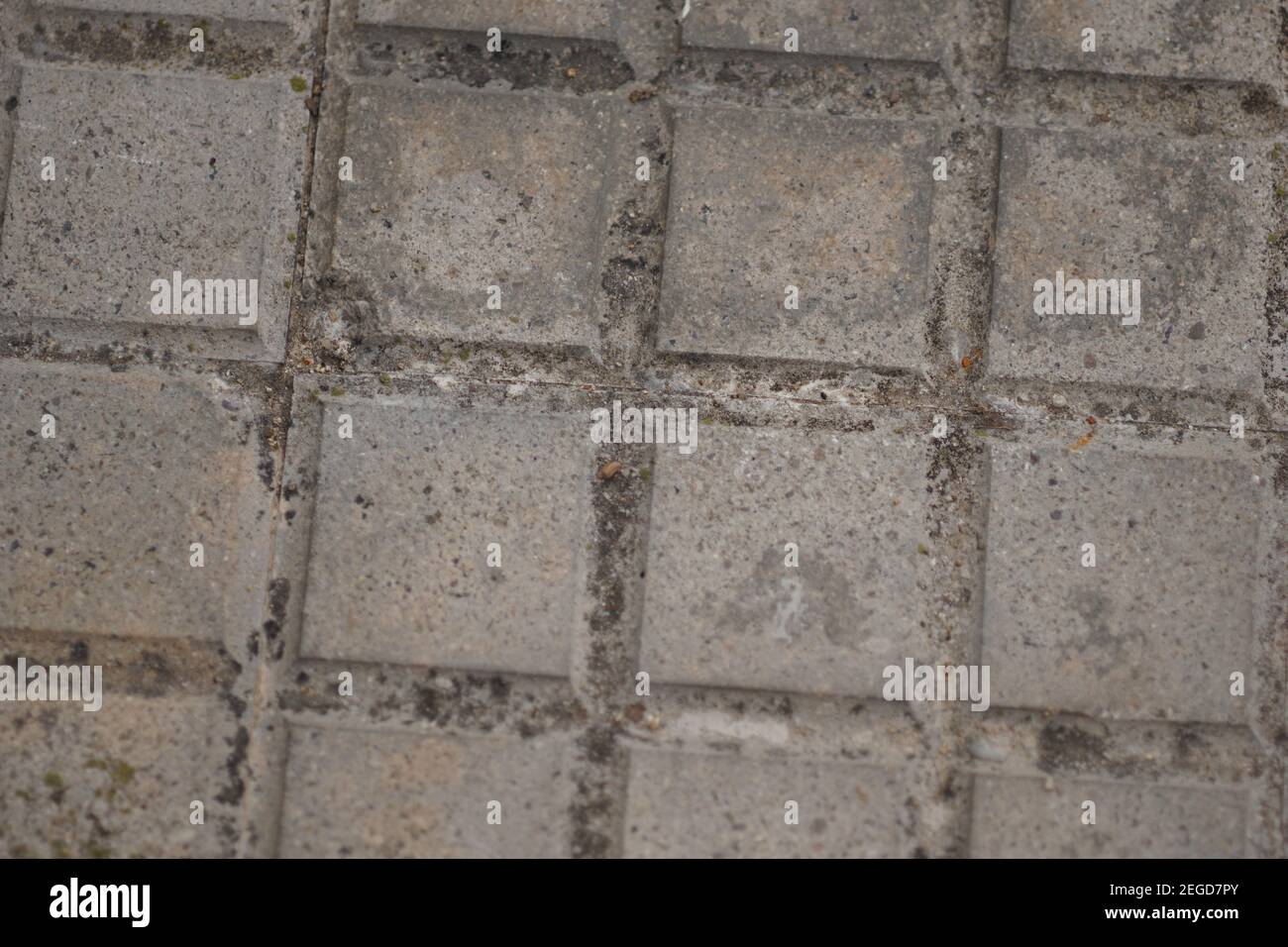 Closeup of paving stone tiles Stock Photo - Alamy