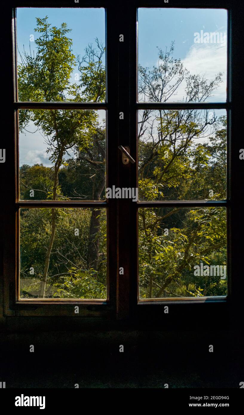 Colorful old window view to trees nature and blue sky Stock Photo - Alamy