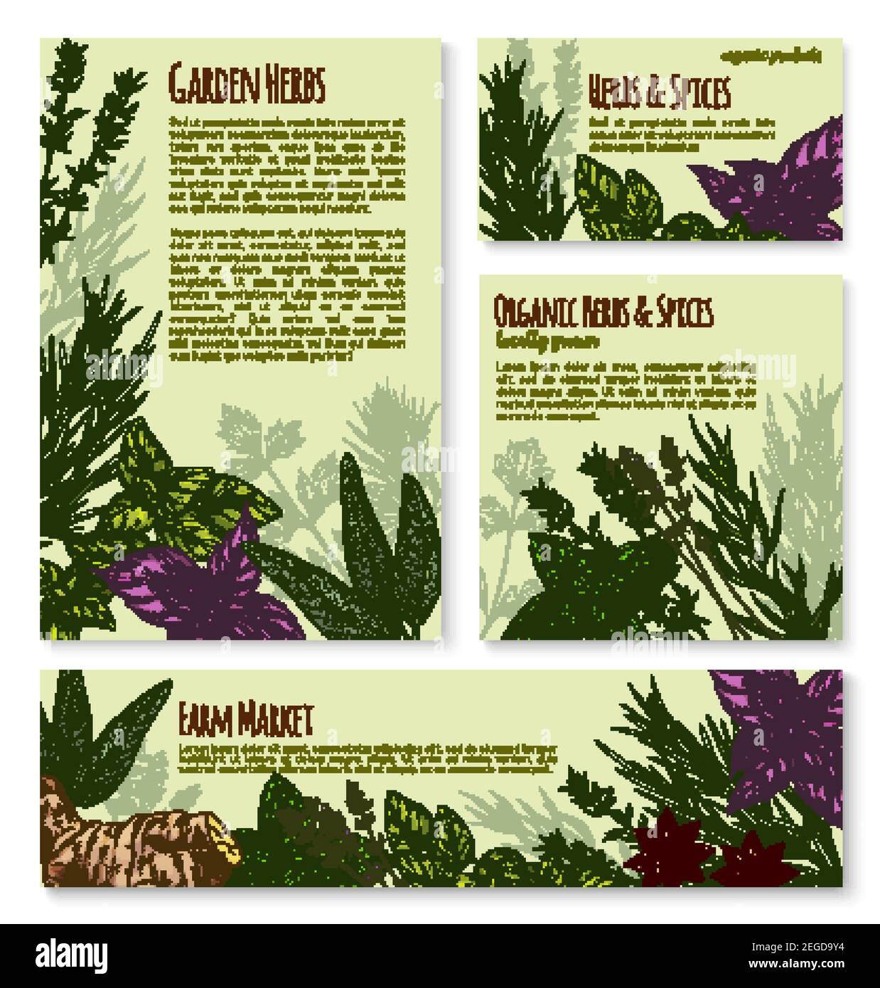 Thyme herb fresh Stock Vector Images - Alamy