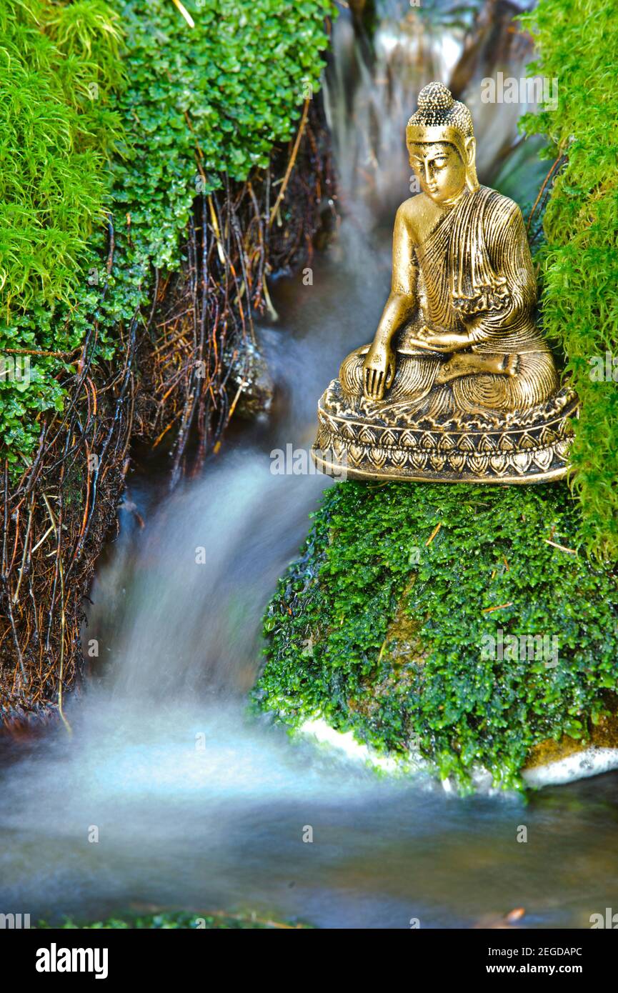 Buddha Meditation Waterfall High Resolution Stock Photography and ...