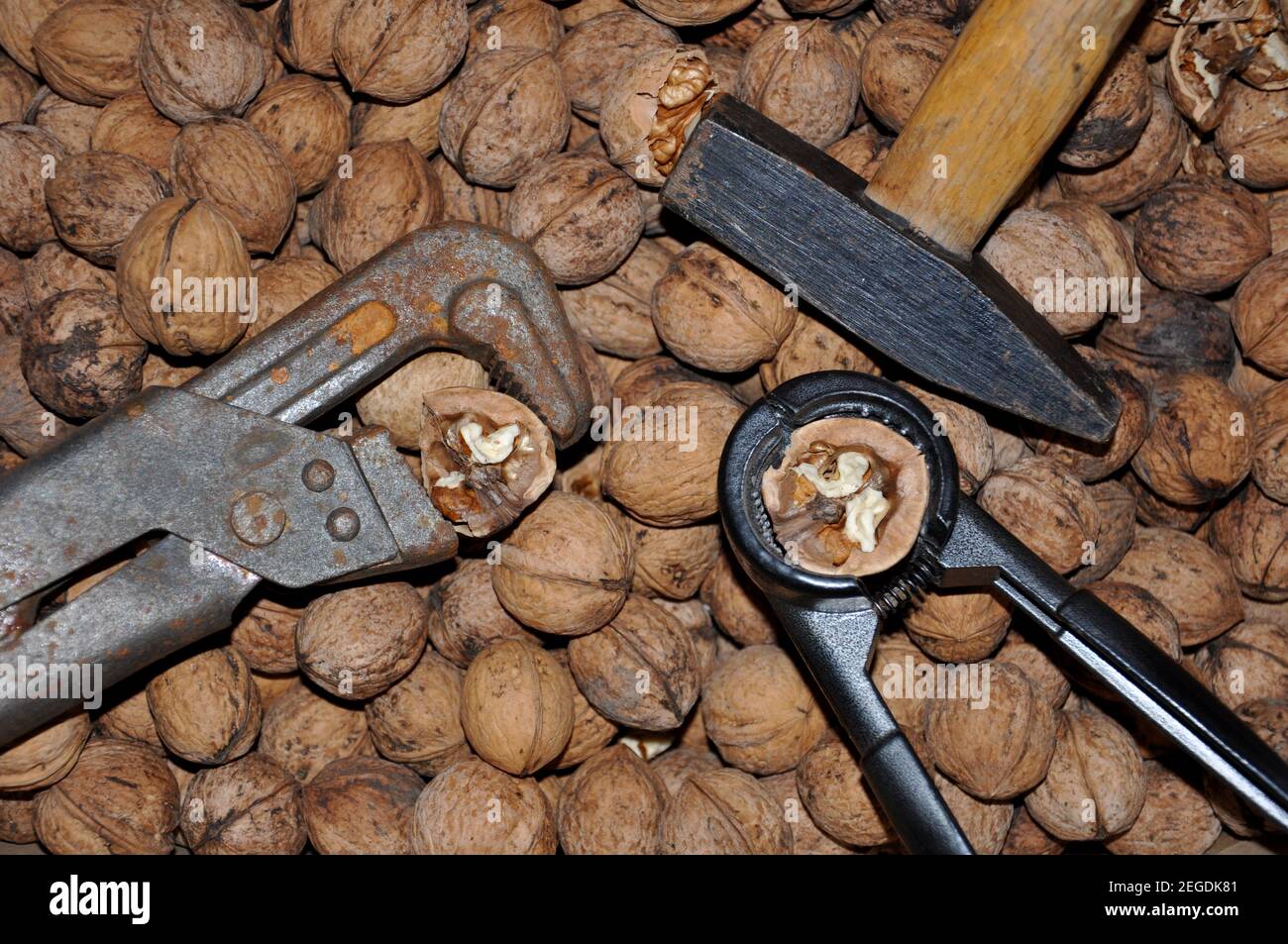 whole walnuts with a nutcracker hammer and a gas wrench for kernel ...