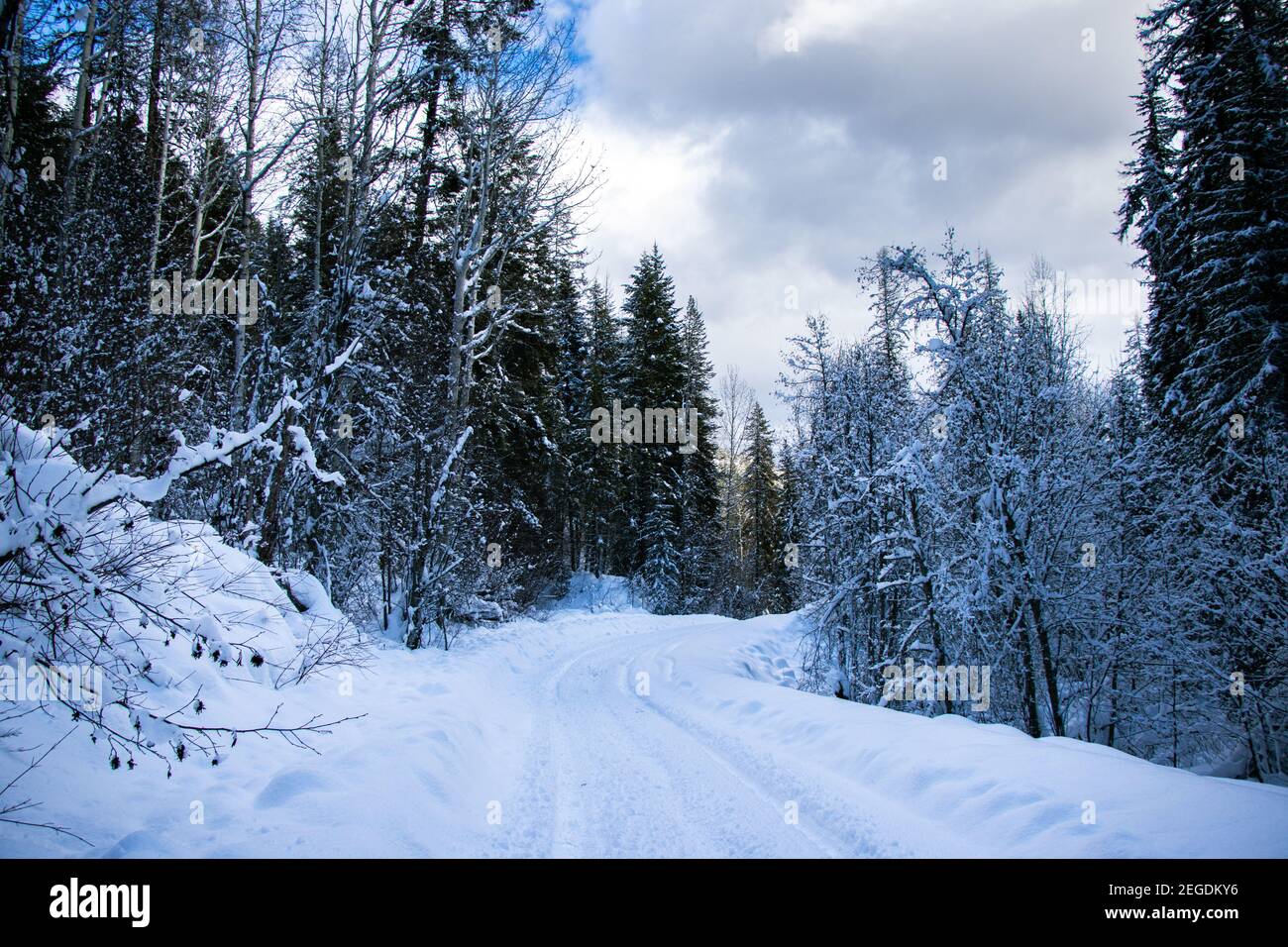 Middle of no where hi-res stock photography and images - Alamy