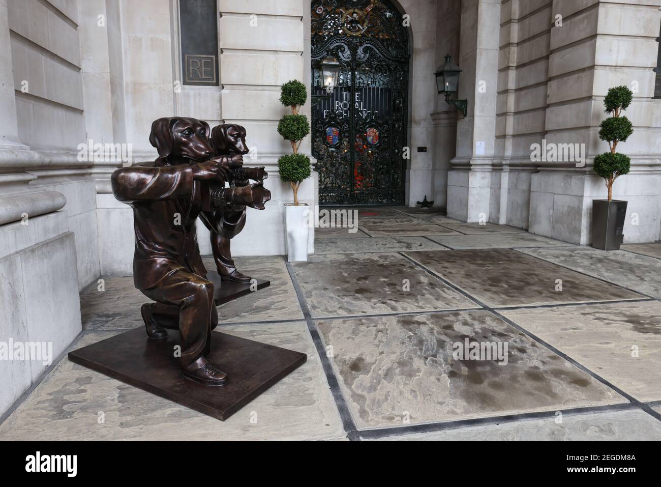 Paparazzi dogs world tour hi-res stock photography and images - Alamy