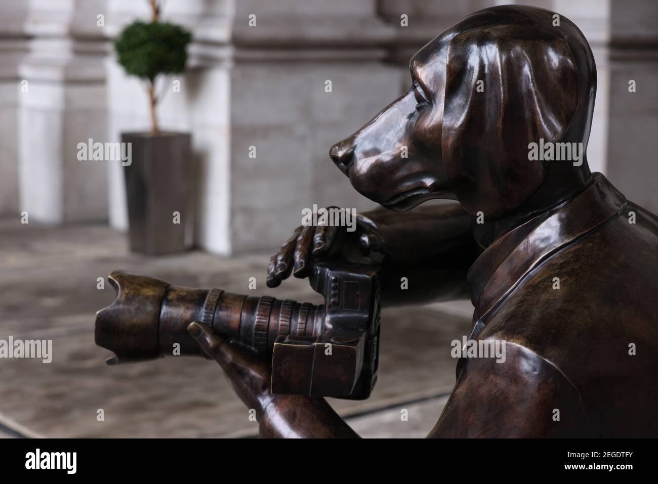 Paparazzi dogs world tour hi-res stock photography and images - Alamy