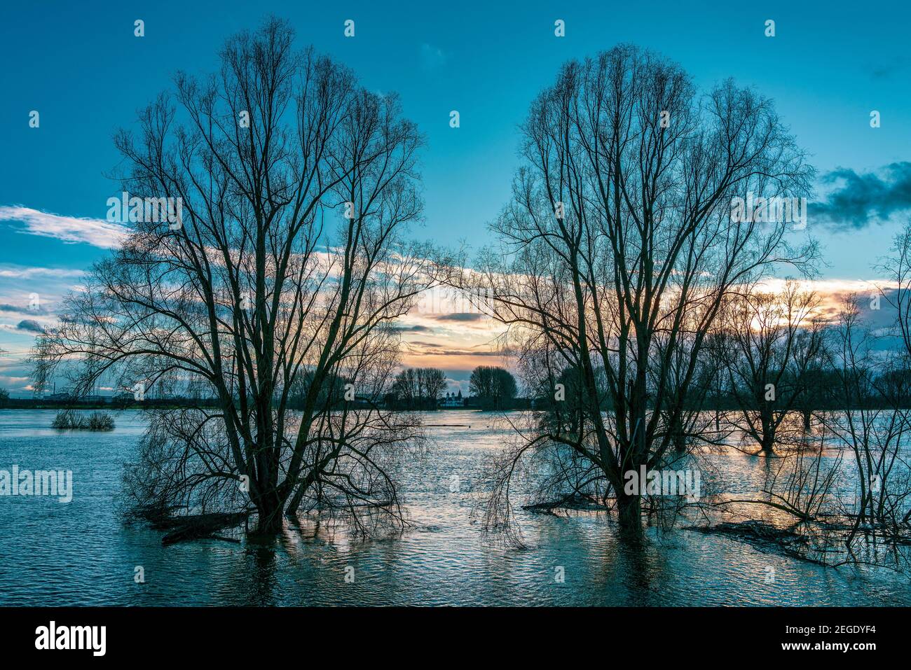 Flood on the Rhine near Cologne, Germany Stock Photo - Alamy