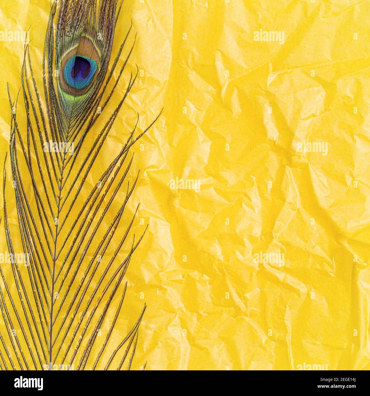 The texture of crumpled bright yellow paper with highlights and a ...