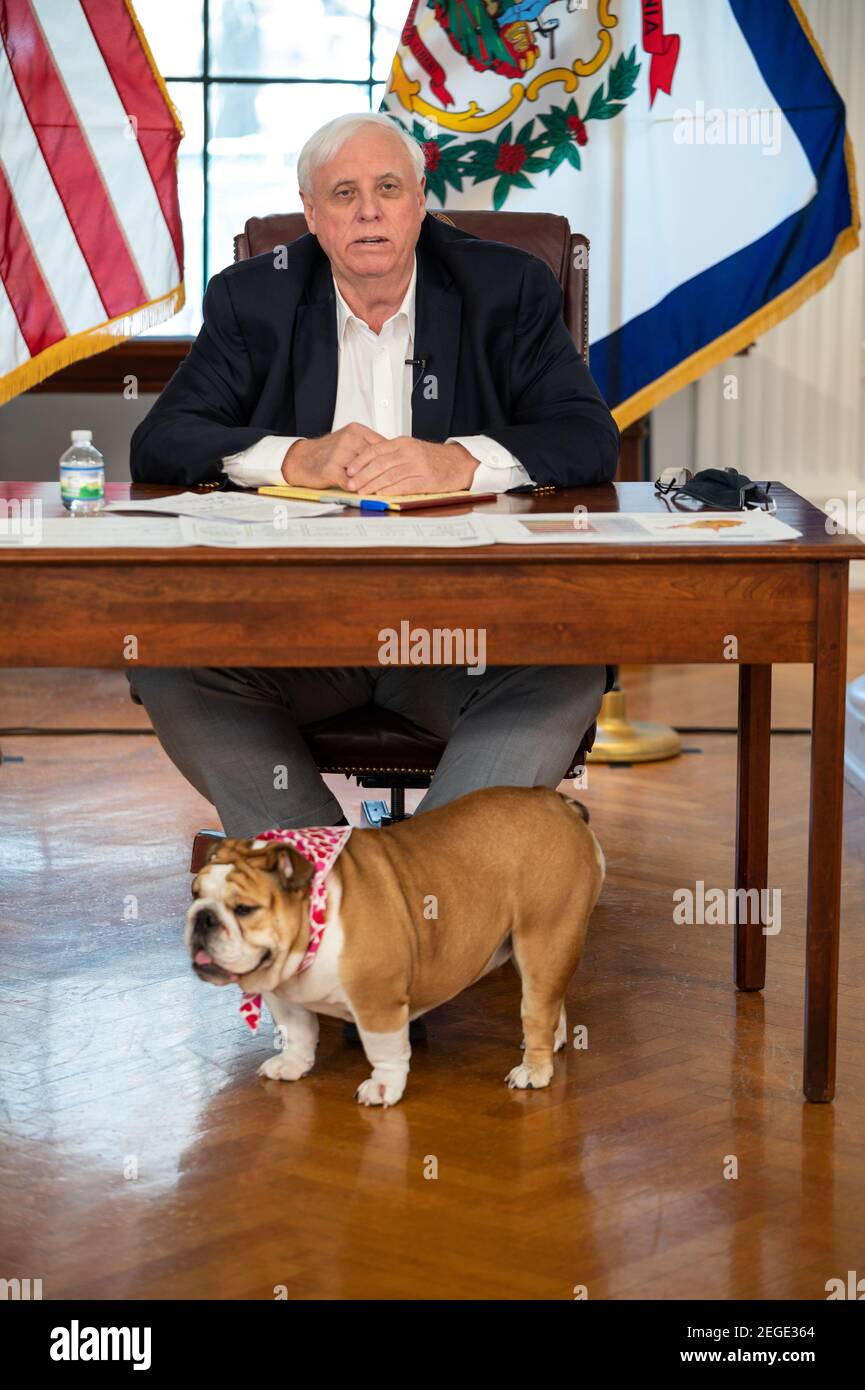 Dog mansion hi-res stock photography and images - Alamy