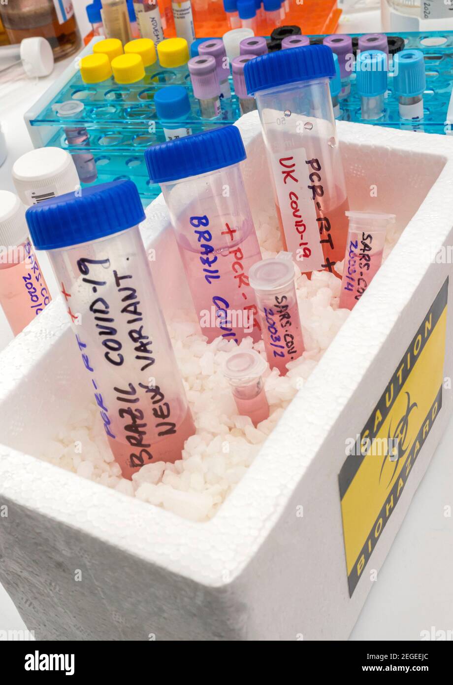 Several frozen vials testing positive for covid-19 infection of the new ...