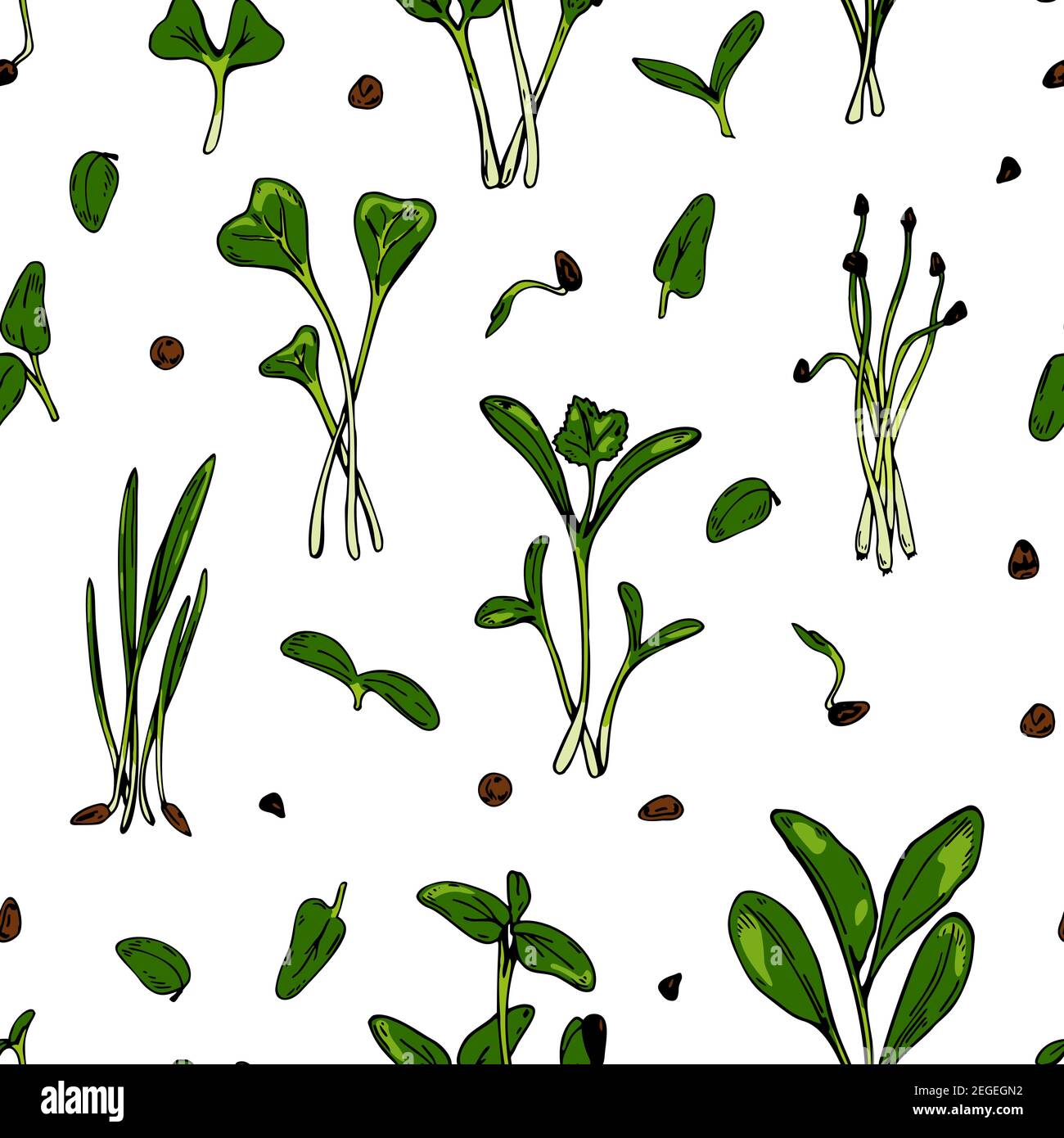 Hand drawn micro greens seamless pattern. Vector illustration in ...