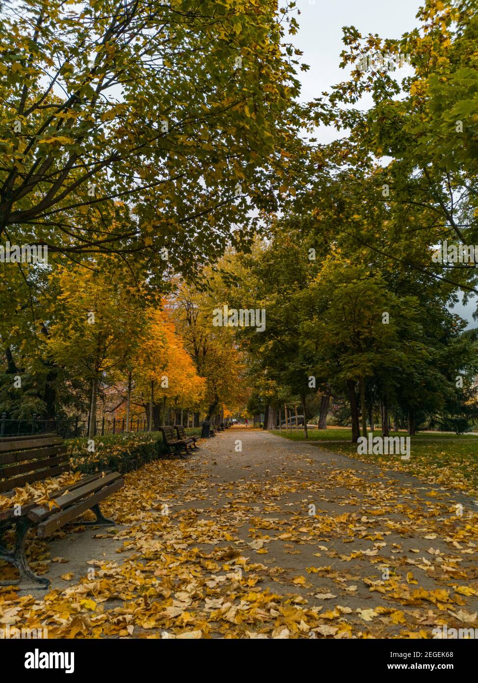 Wood park bench fall leaves park bench hi-res stock photography and ...