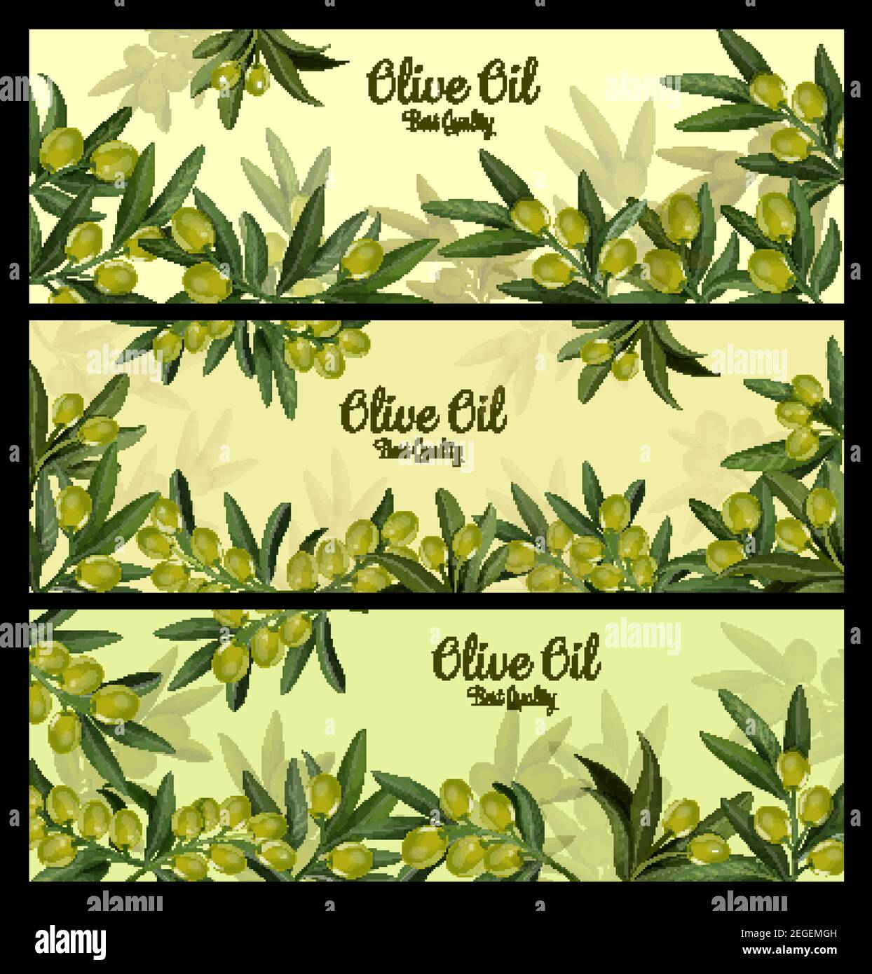Green olive branch banner Stock Vector Images - Alamy