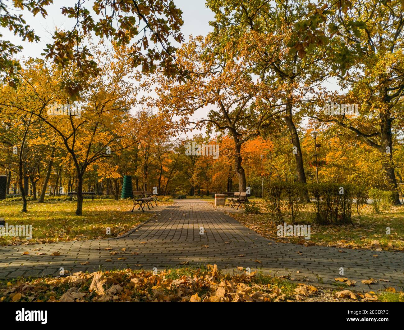 Park trees path leaves hi-res stock photography and images - Alamy