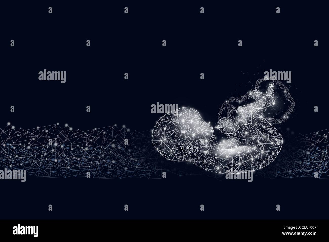 Fetus placenta hi-res stock photography and images - Alamy