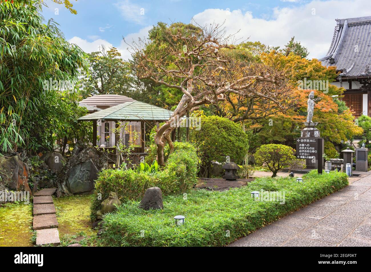 Tanuki statue hi-res stock photography and images - Alamy