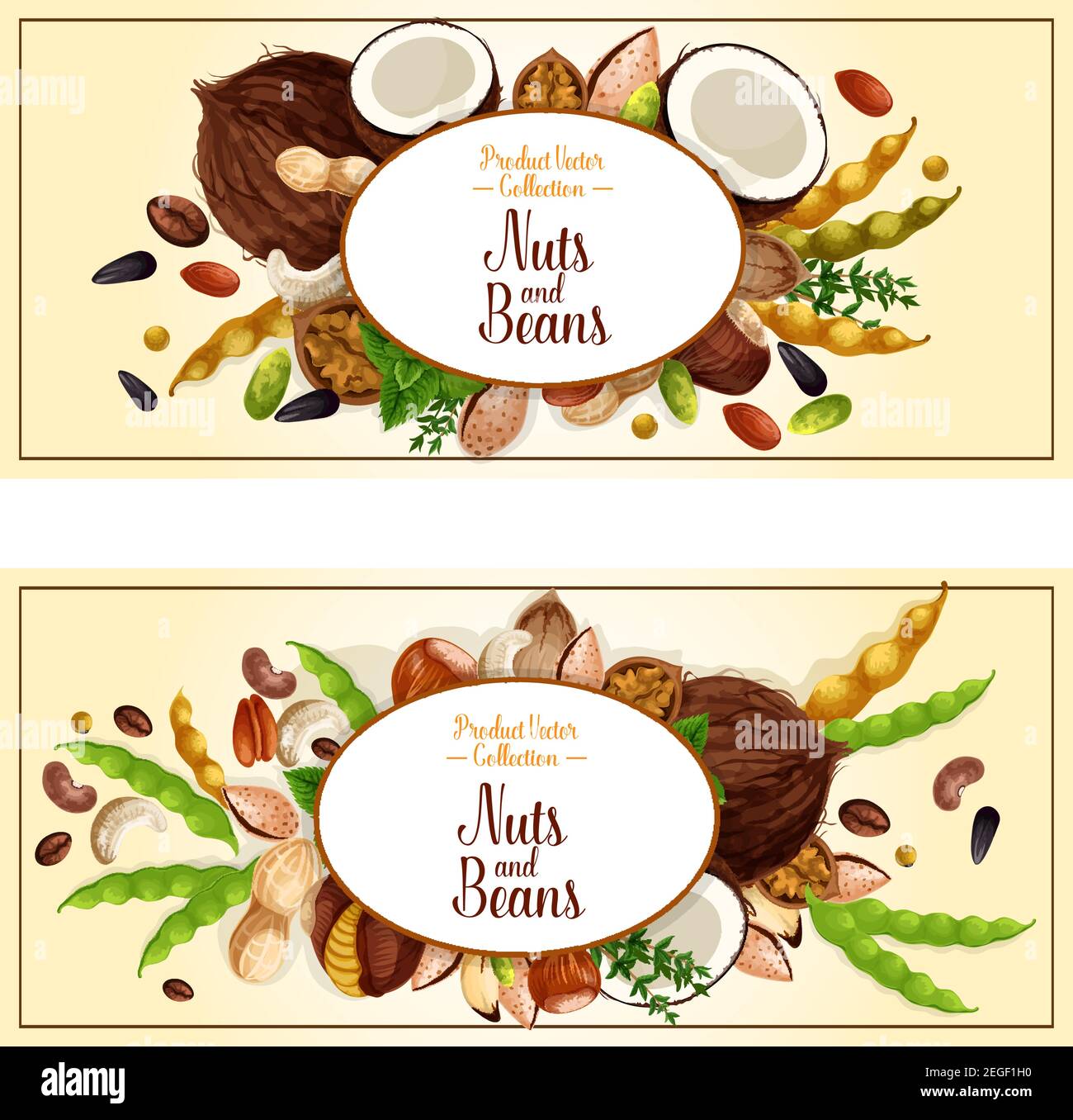 Nuts and fruit seeds or beans banners. Vector set of walnut, peanut or ...