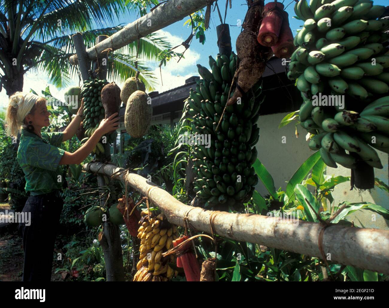 A fruit and vegetable farmer-market on Bora Bora Island Stock Photo - Alamy