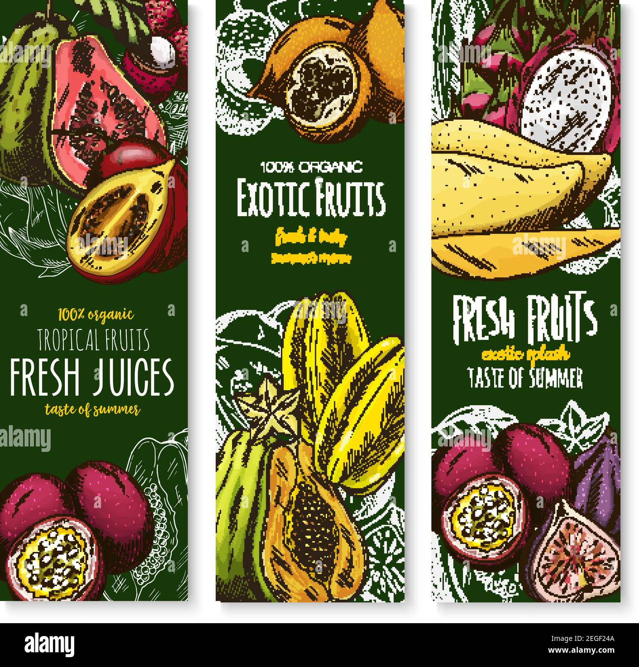 Exotic tropical fruits banners for farm market or fresh juice. Vector ...
