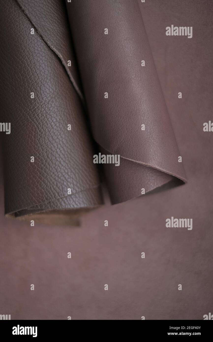 Real surface hi-res stock photography and images - Alamy