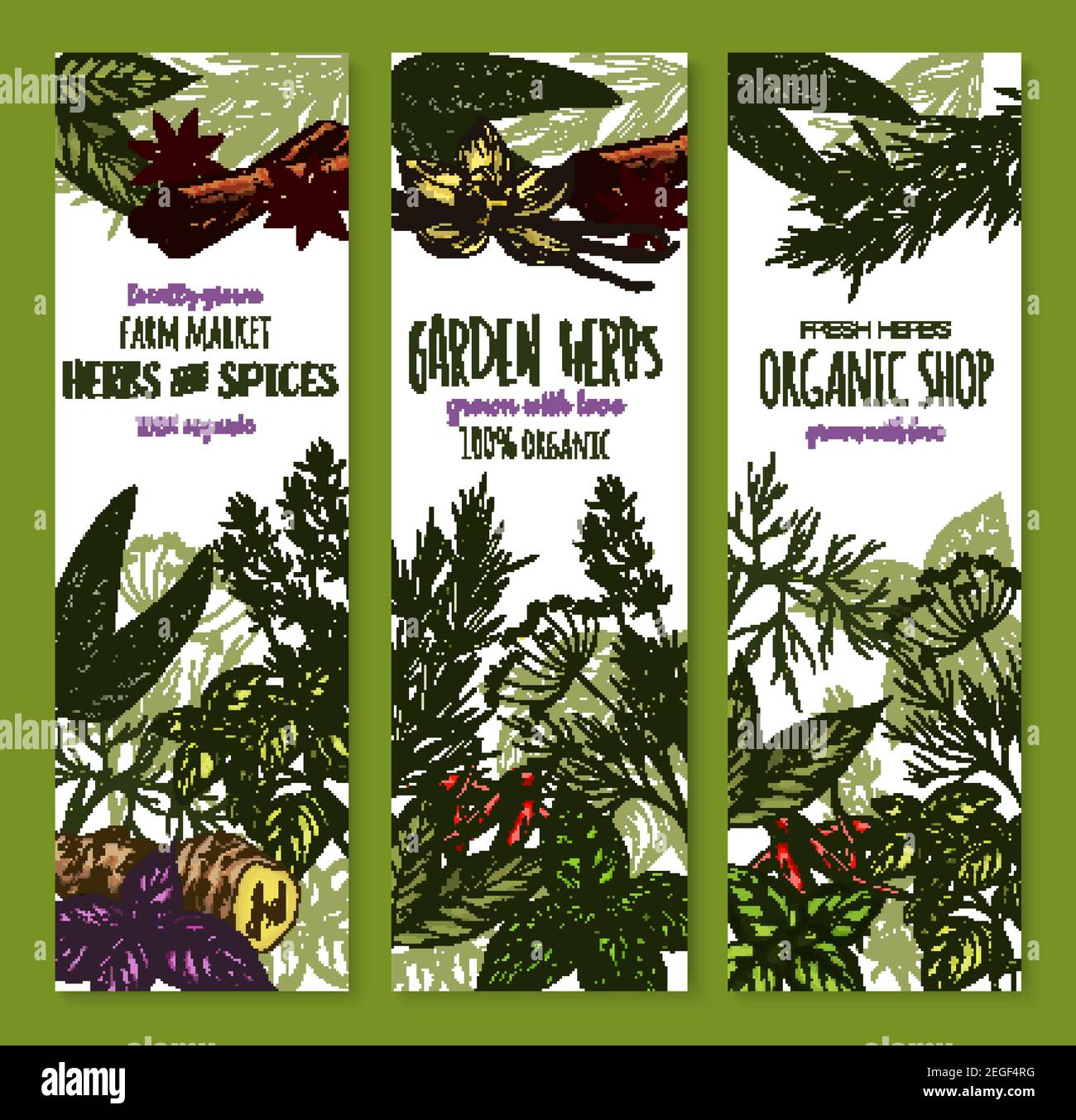 Herbs and spices seasonings banners of basil, oregano or tarragon and ...