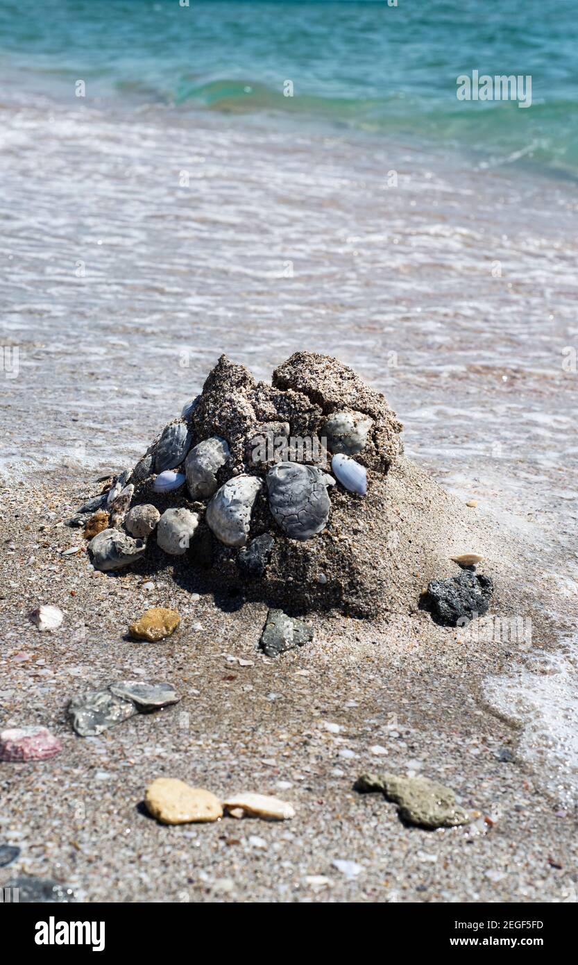 Seashell Sculpture High Resolution Stock Photography and Images - Alamy