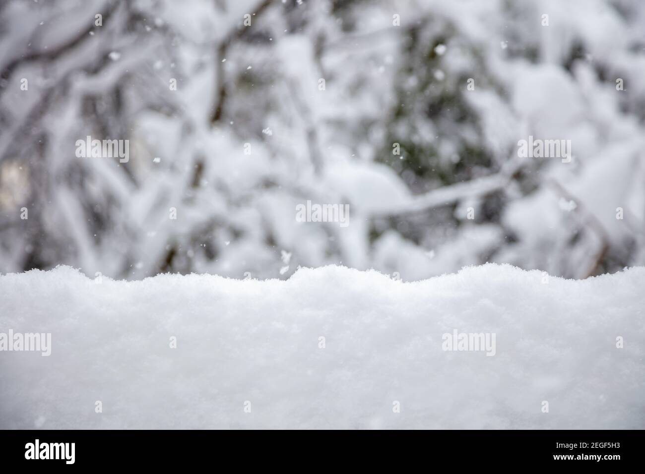 Winter snowfall background, Christmas holiday greeting card template ...