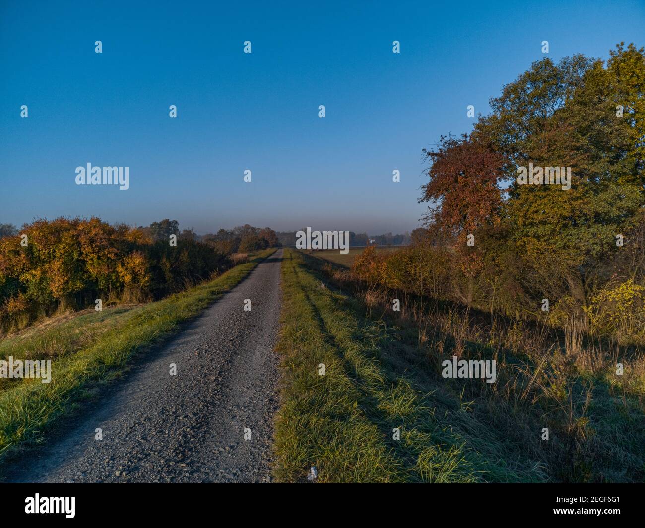 Long path full of small stones between green and yellow fields and ...