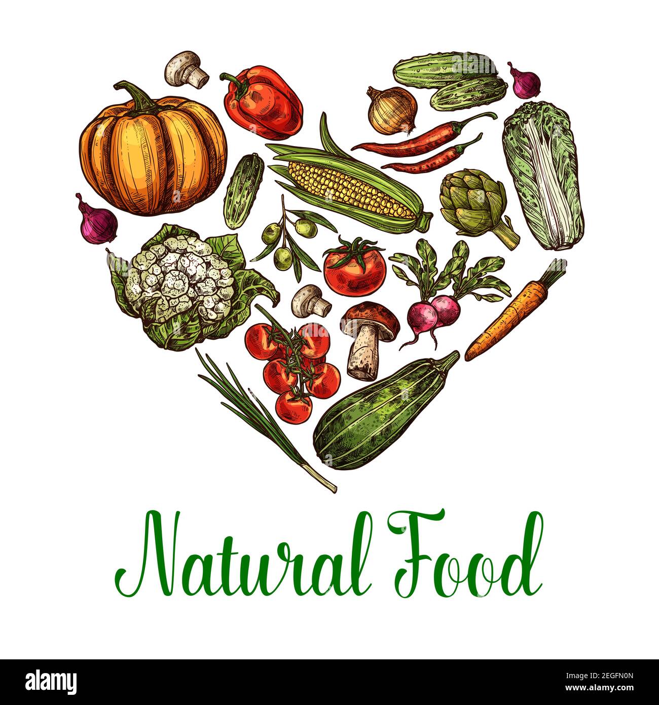 Vegetables and fresh healthy veggies food sketch poster fro vegetarian ...