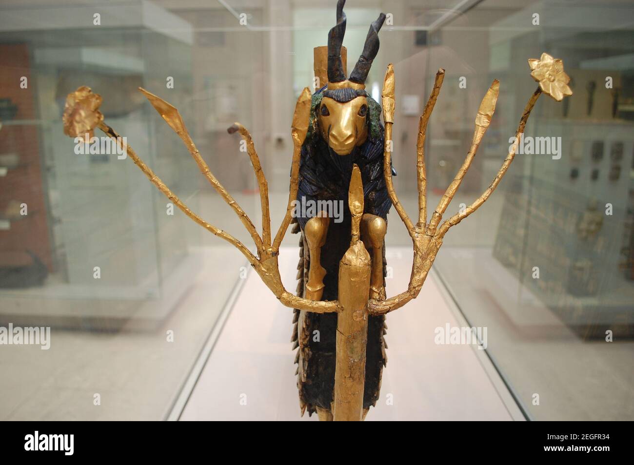 Ram in the thicket hi-res stock photography and images - Alamy