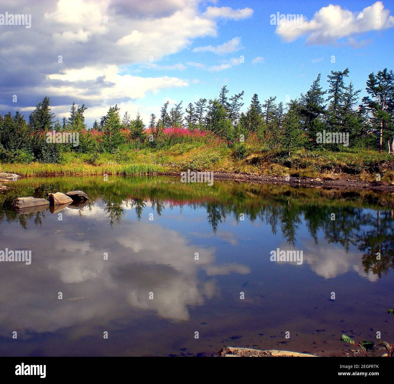 Camp taiga hi-res stock photography and images - Alamy