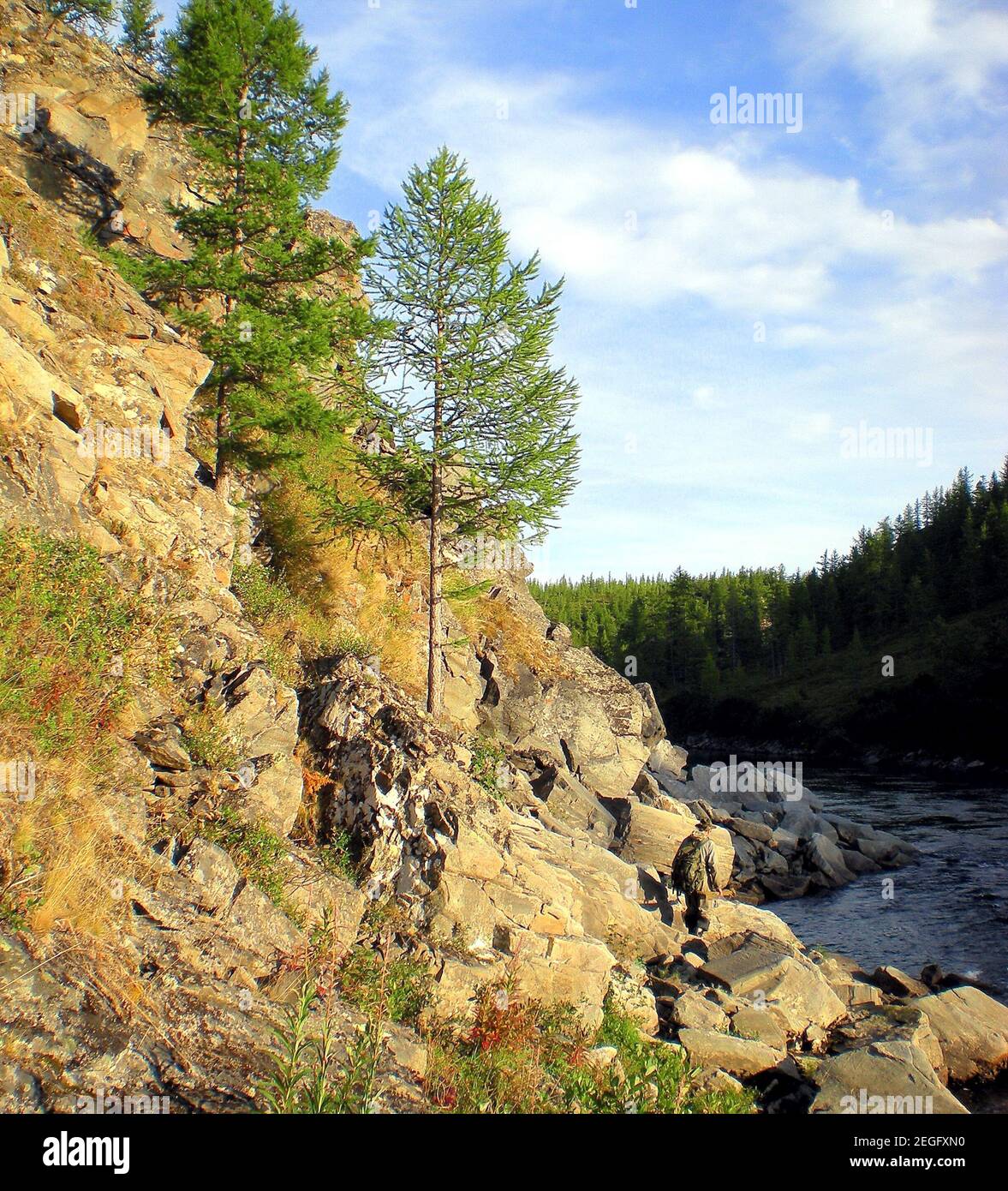 River in the taiga in northern Russia. The nature of the taiga in a ...