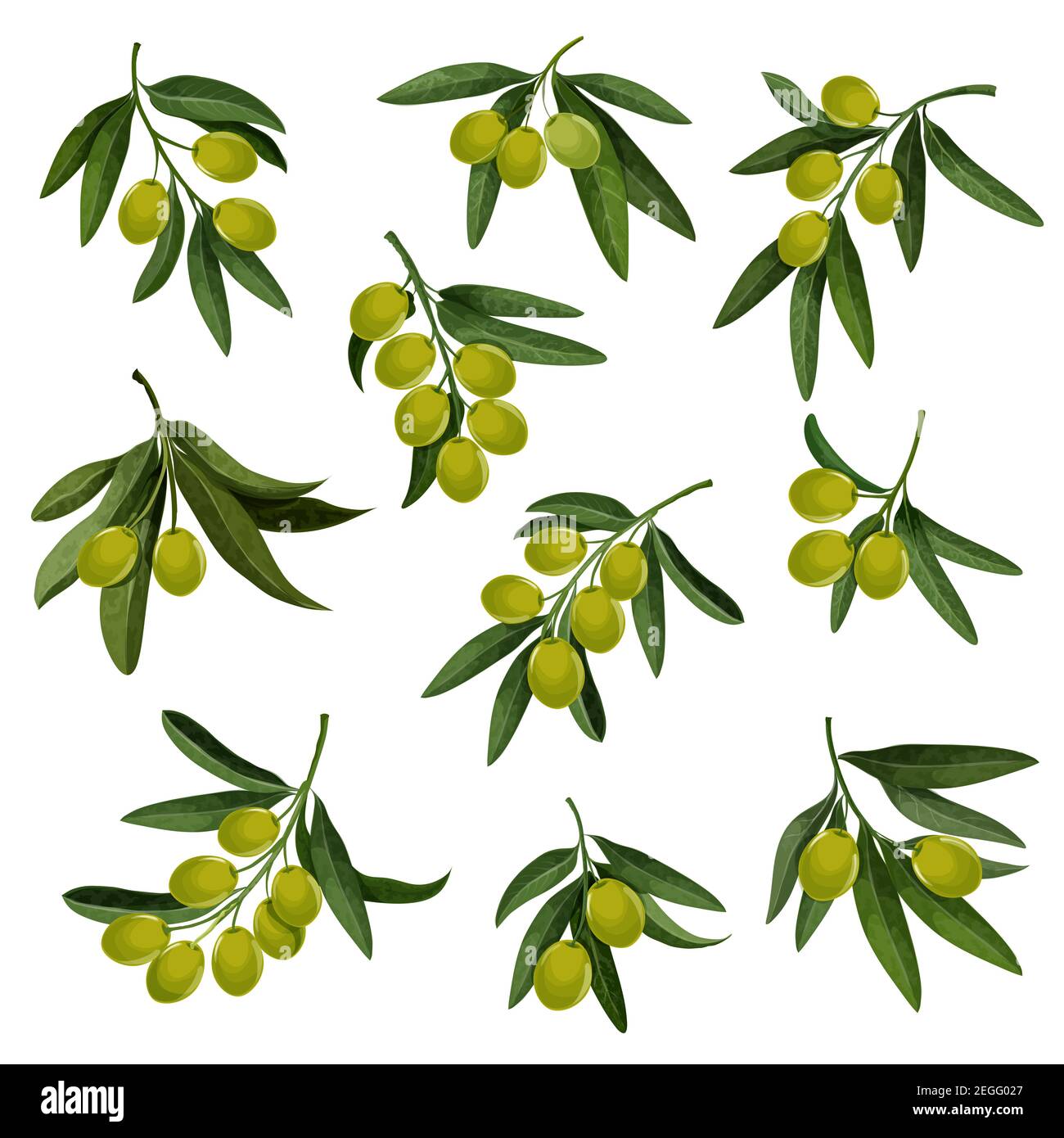 Fresh spanish extra virgin Stock Vector Images - Alamy