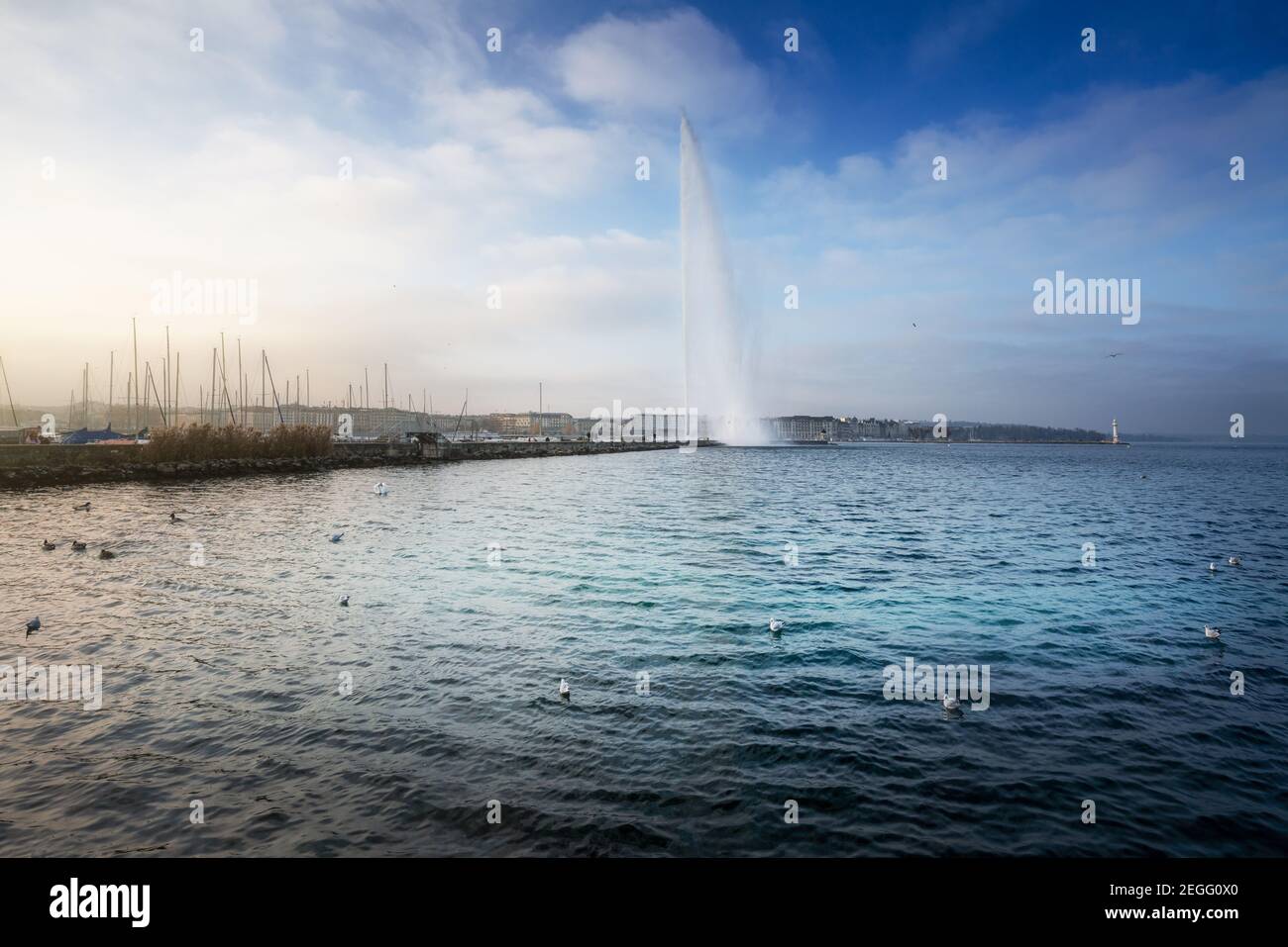 Lake Geneva and Jet D’eau Water Fountain - Geneva, Switzerland Stock ...