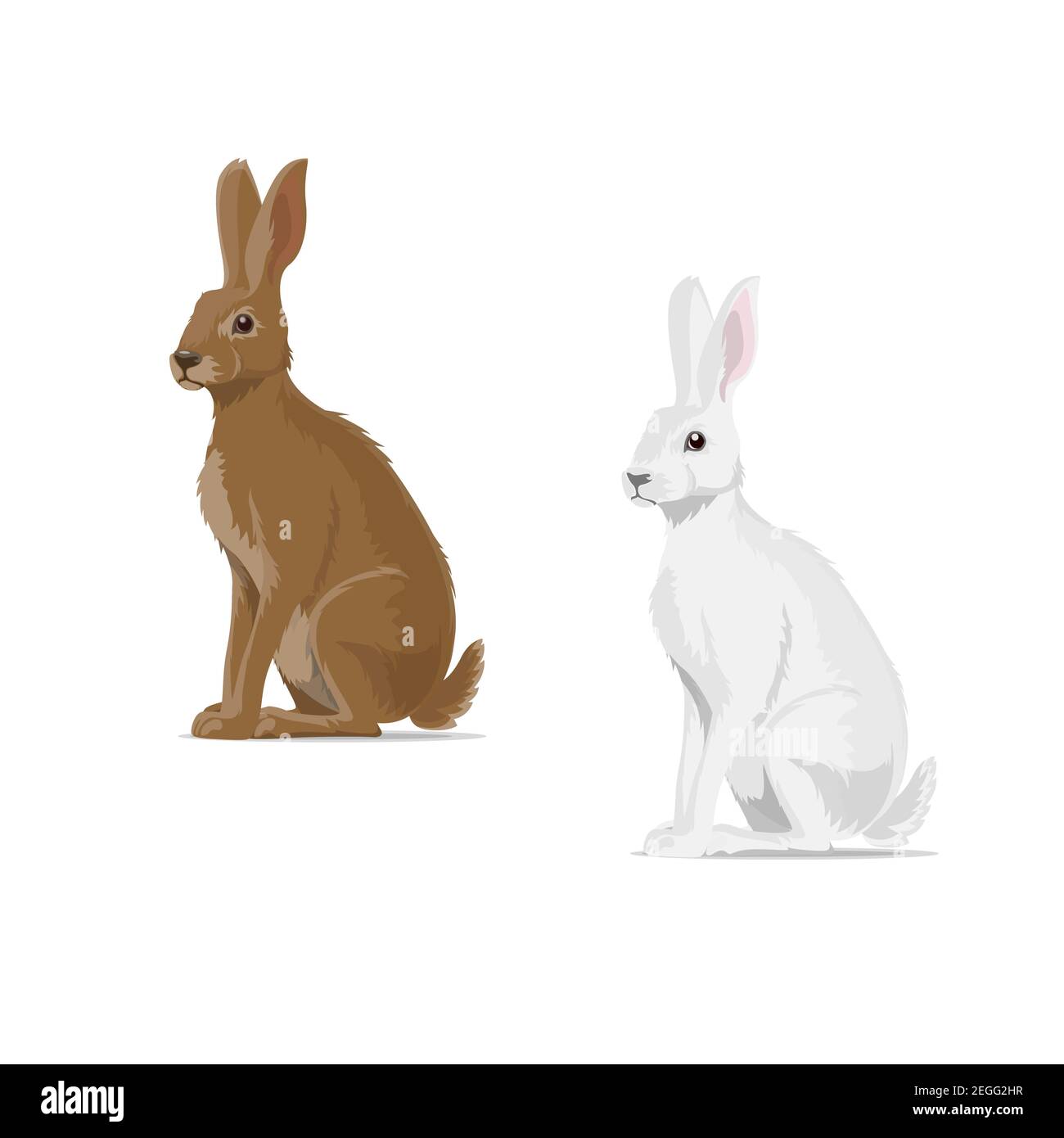 Hare side view Stock Vector Images - Alamy