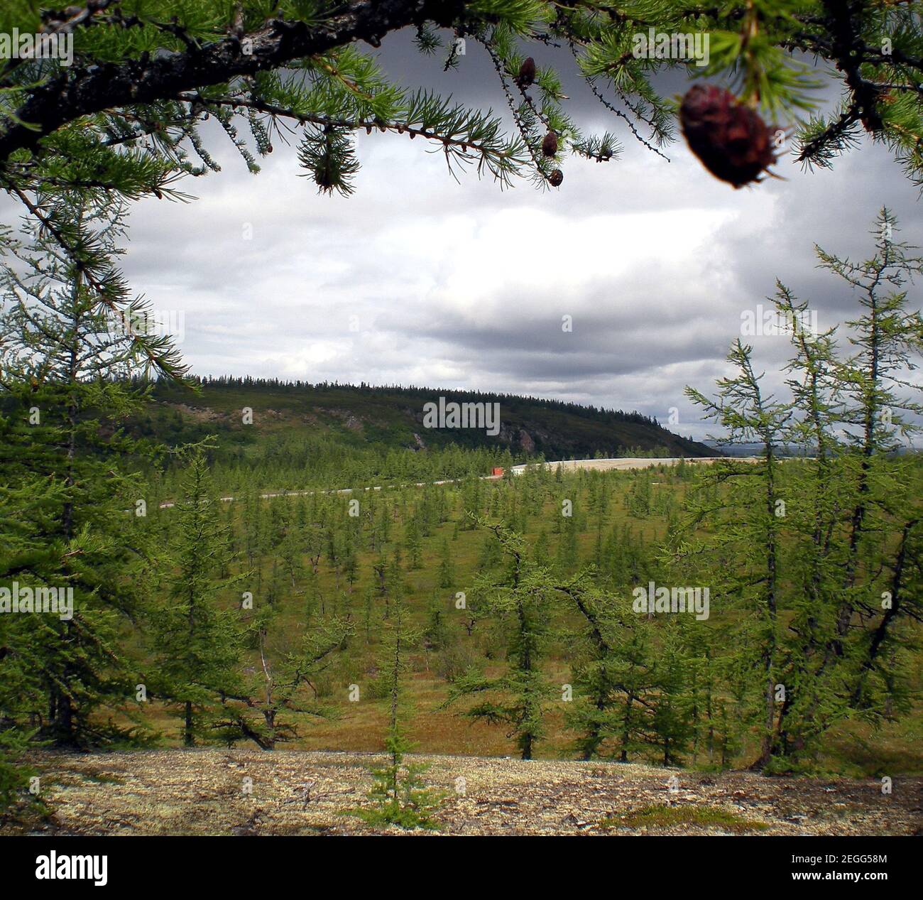 North east siberia hi-res stock photography and images - Alamy