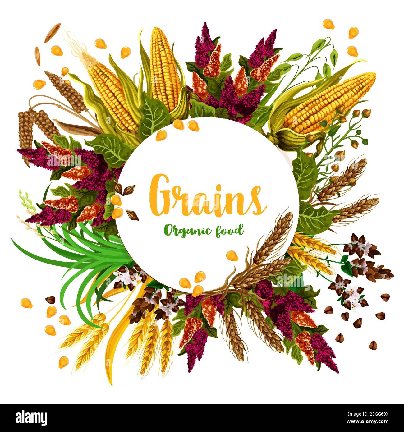 Grains and organic food poster of farm grown fresh and tasty organic ...
