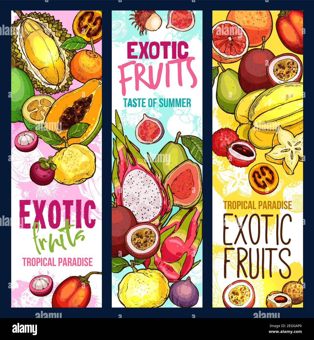 Exotic fruits and tropical fruit harvest banners. Vector sketch design ...