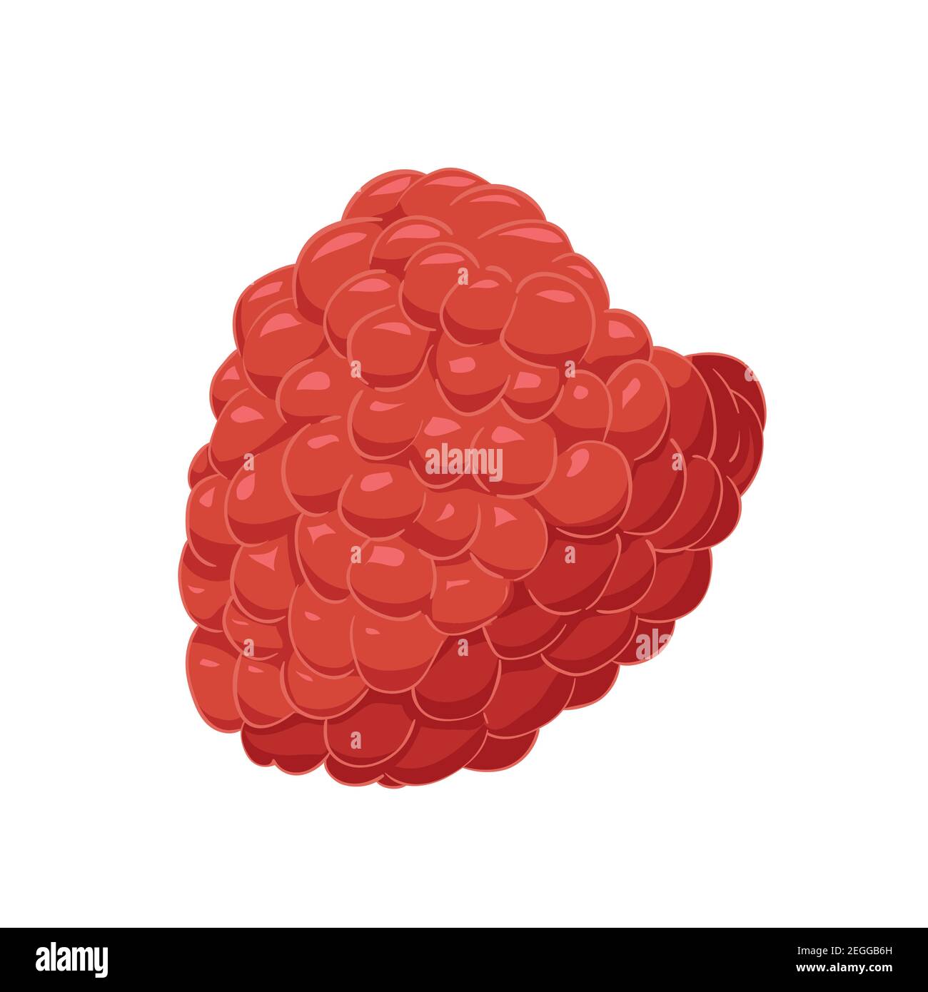 Vector raspberry. Red berrie on white background for design Stock ...