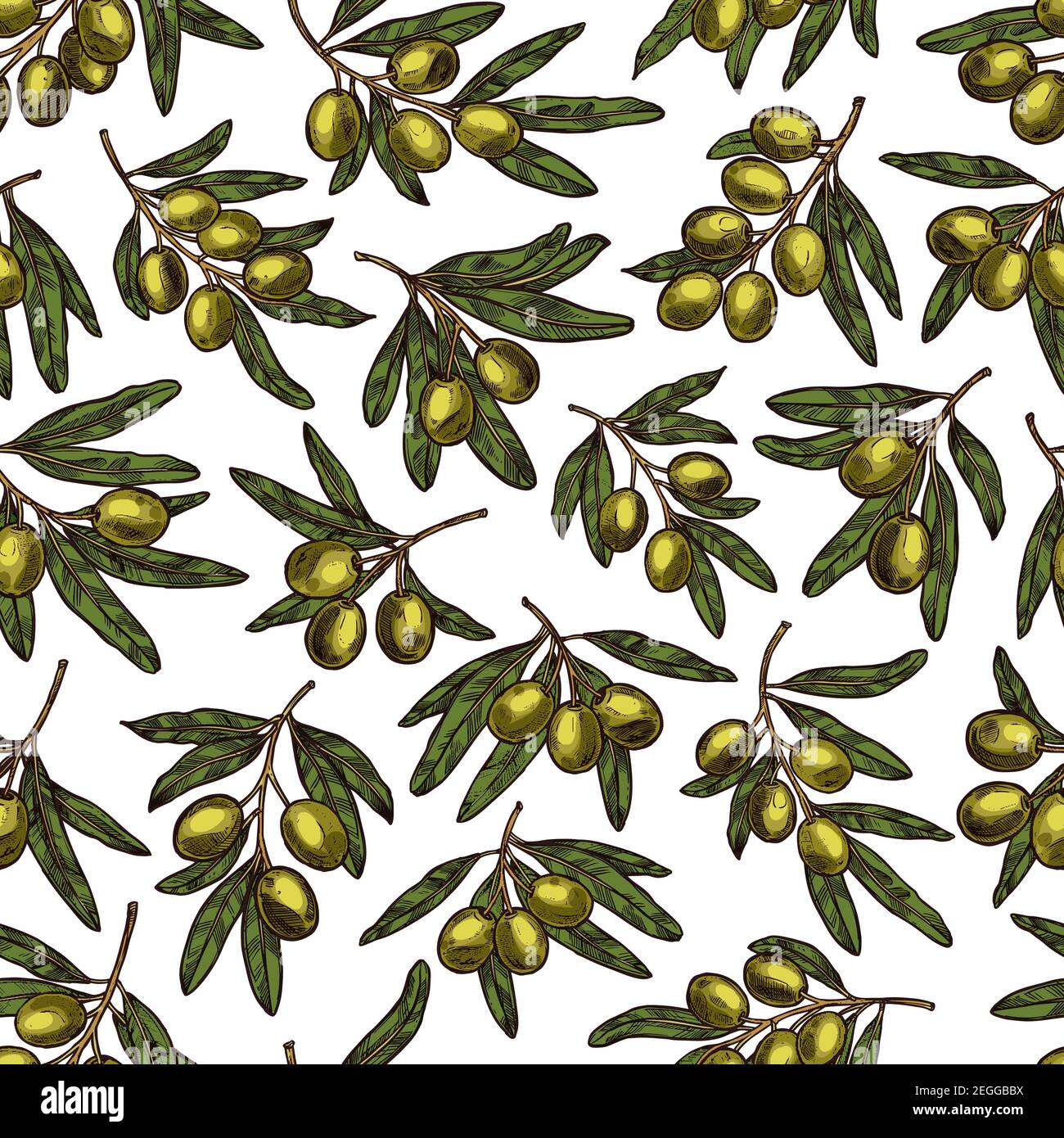 Green olives seamless pattern background botanical design. Vector olive ...